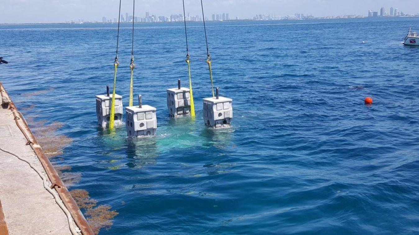 Voici un lieu particulièrement original pour se faire inhumer - Metrotime