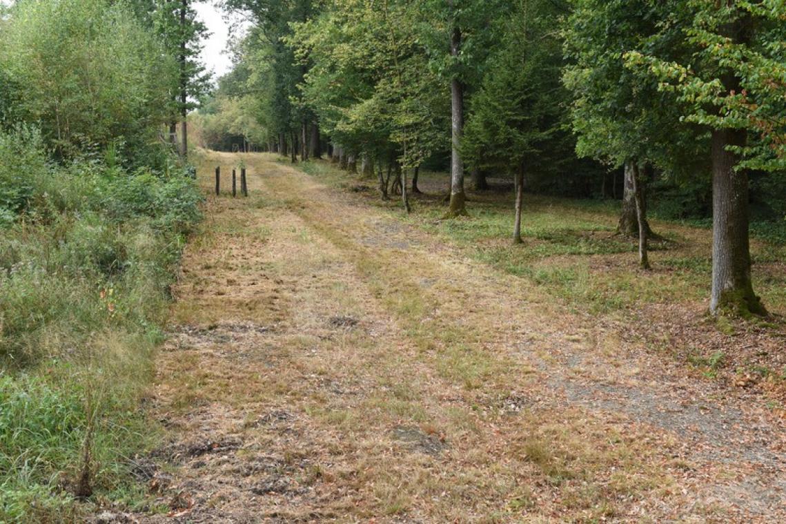 Près d'un francophone sur deux pense qu'il faut interdire l'abattage d ...