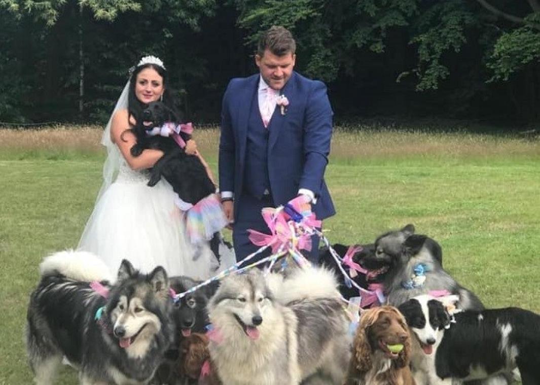 Un couple se marie entouré d'une douzaine de chiens et de chevaux ...