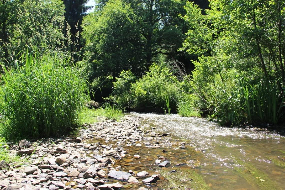 À la découverte de la vallée de la Houille - Metrotime