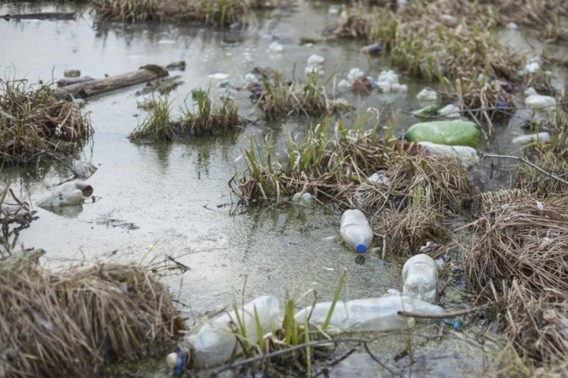 Les fleuves européens contaminés par des microplastiques - Metrotime