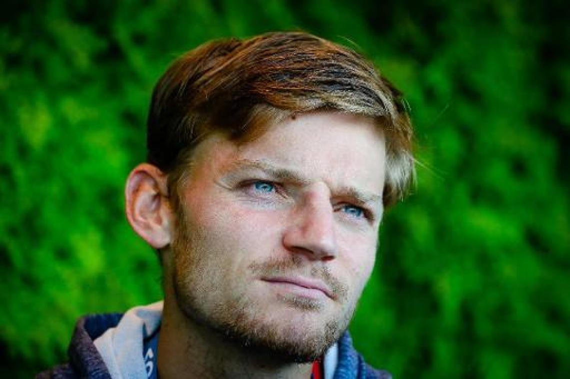 Goffin et les Belges mettent un tableau aux enchères pour aider les ...