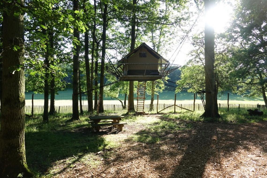 Un week-end de camping en Tree Tent à Han-sur-Lesse, l'occasion de ...