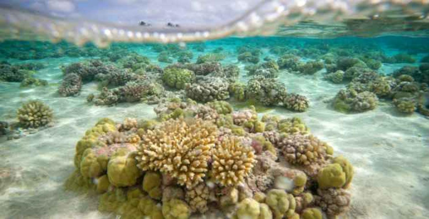 6,5 milliards € pour sauver la grande barrière - Metrotime