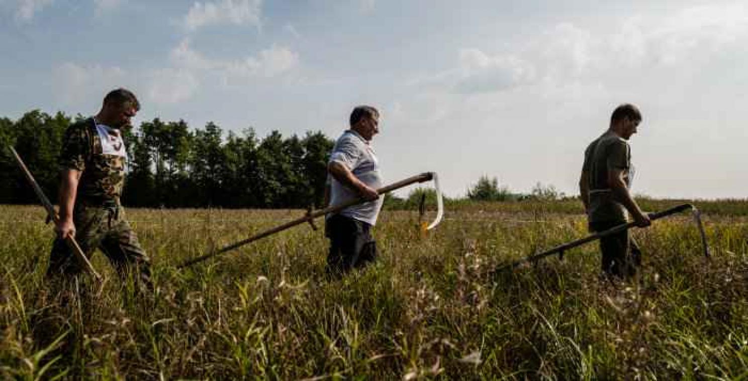 La championnat du monde de fauchage à la main s'est tenu en Pologne ...