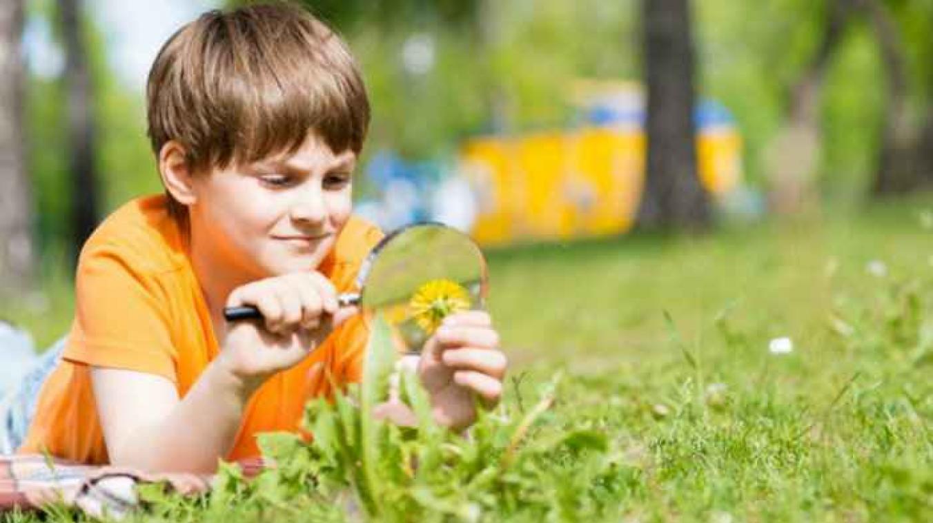 Etre curieux pour mieux apprendre - Metrotime