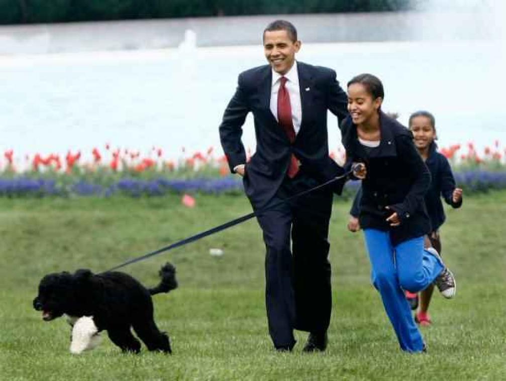 Obama donne son nom à 9 espèces animales - Metrotime