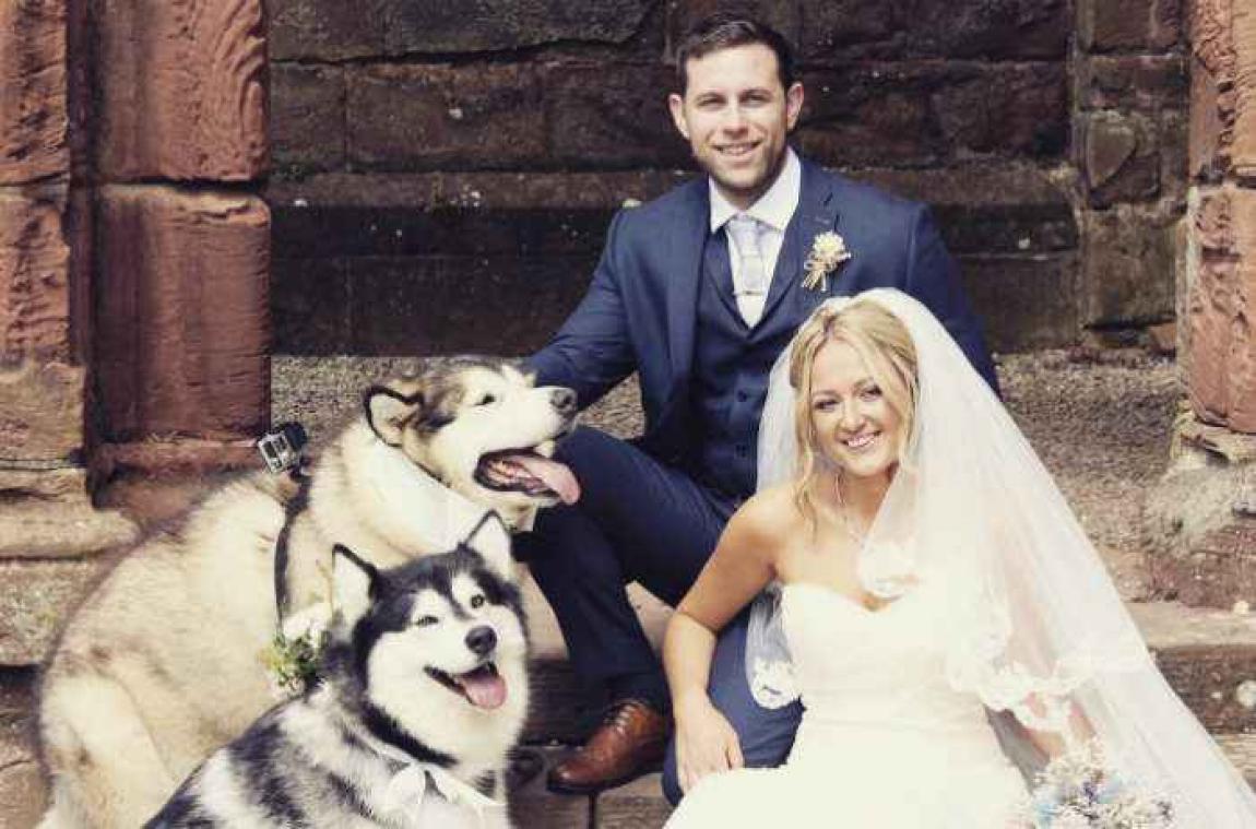 Un couple choisit ses deux chiens comme demoiselle et garçon d'honneur ...