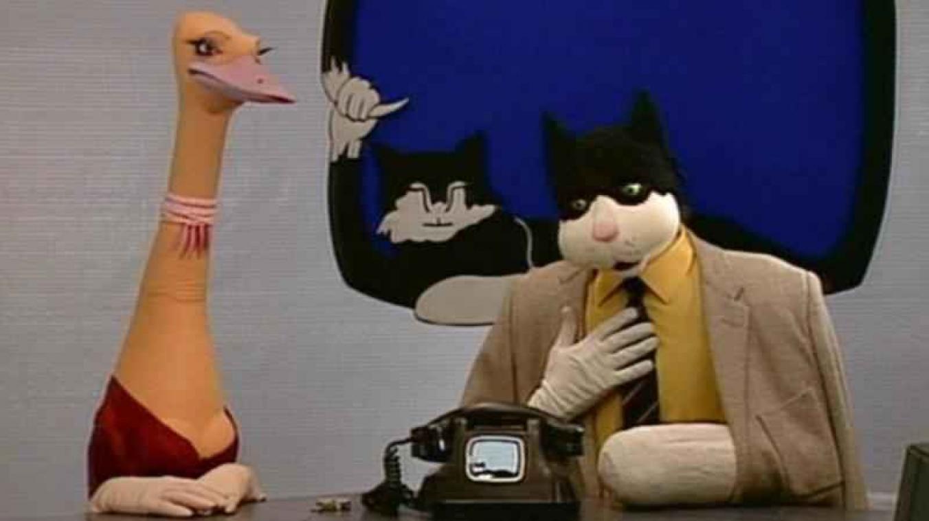 Il n'y avait qu'une télé, c'était Téléchat - Metrotime