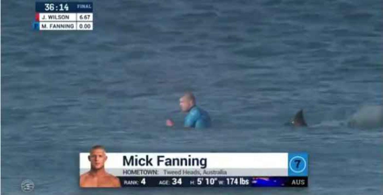VIDEO. Le surfeur australien Mick Fanning attaqué par un requin durant ...
