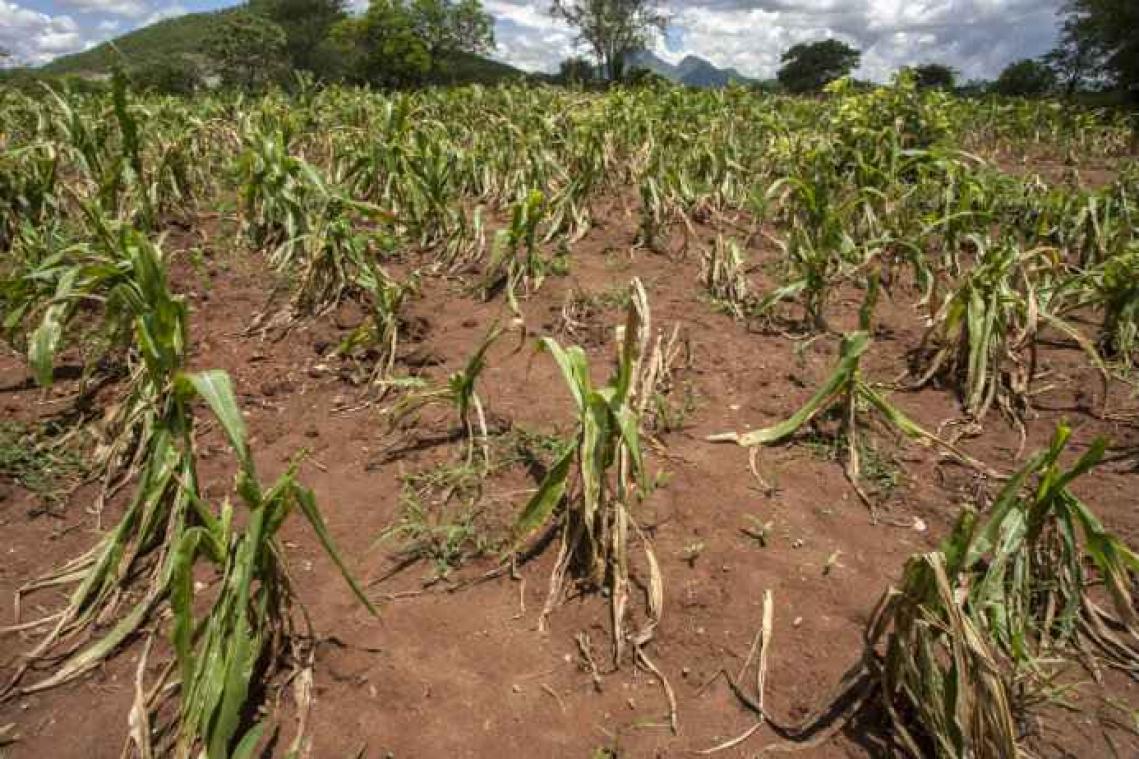 La dégradation des sols de la planète provoque des migrations massives ...