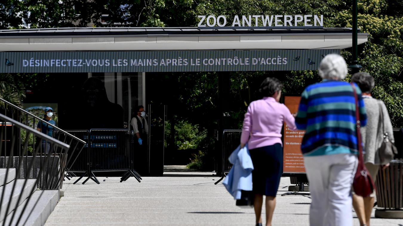Le zoo d’Anvers limite les contacts d’une visiteuse avec un singe: «Il ...