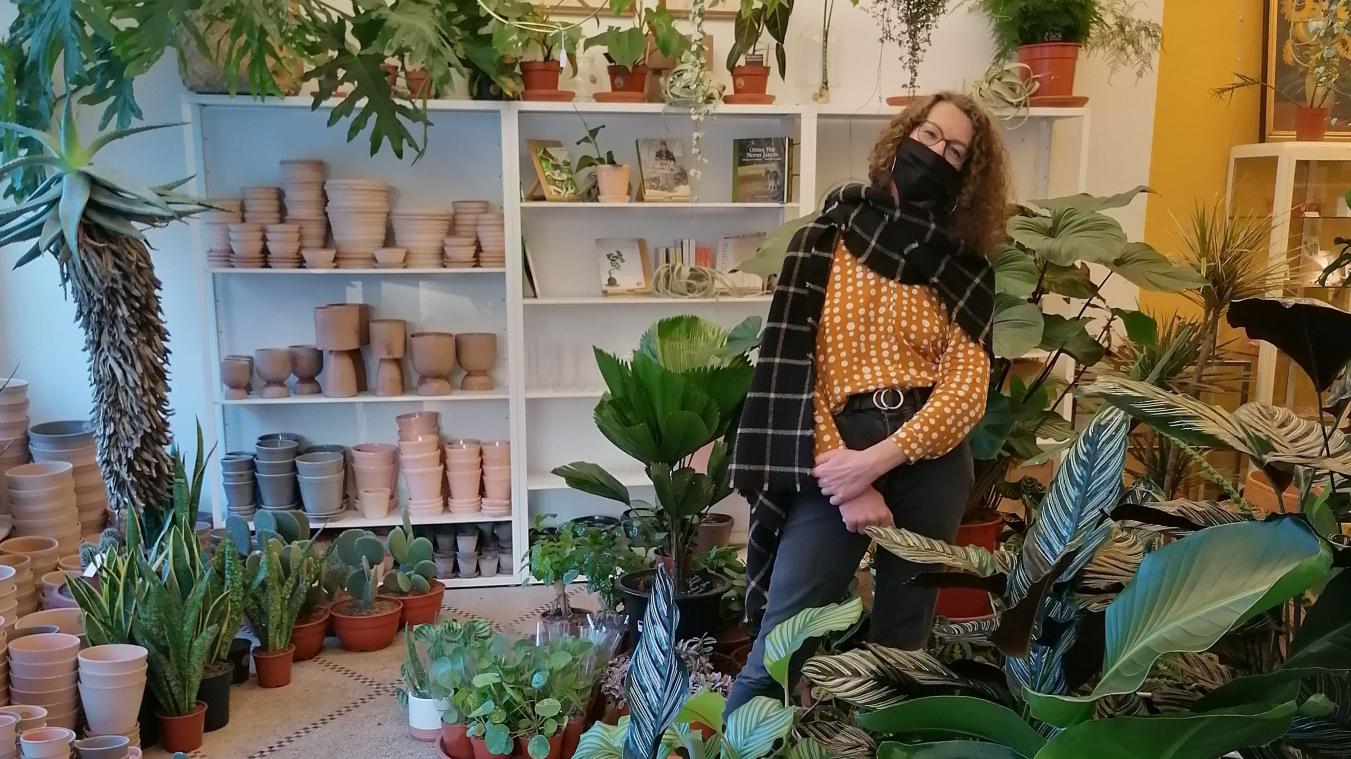 Gruun, Wondergreen, Brut et Agave : découvrez les jardineries les plus ...