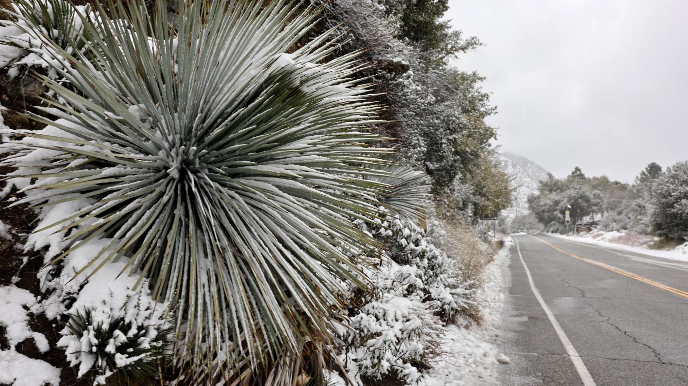Los Angeles touchée par une terrible tempête de neige pour la première ...