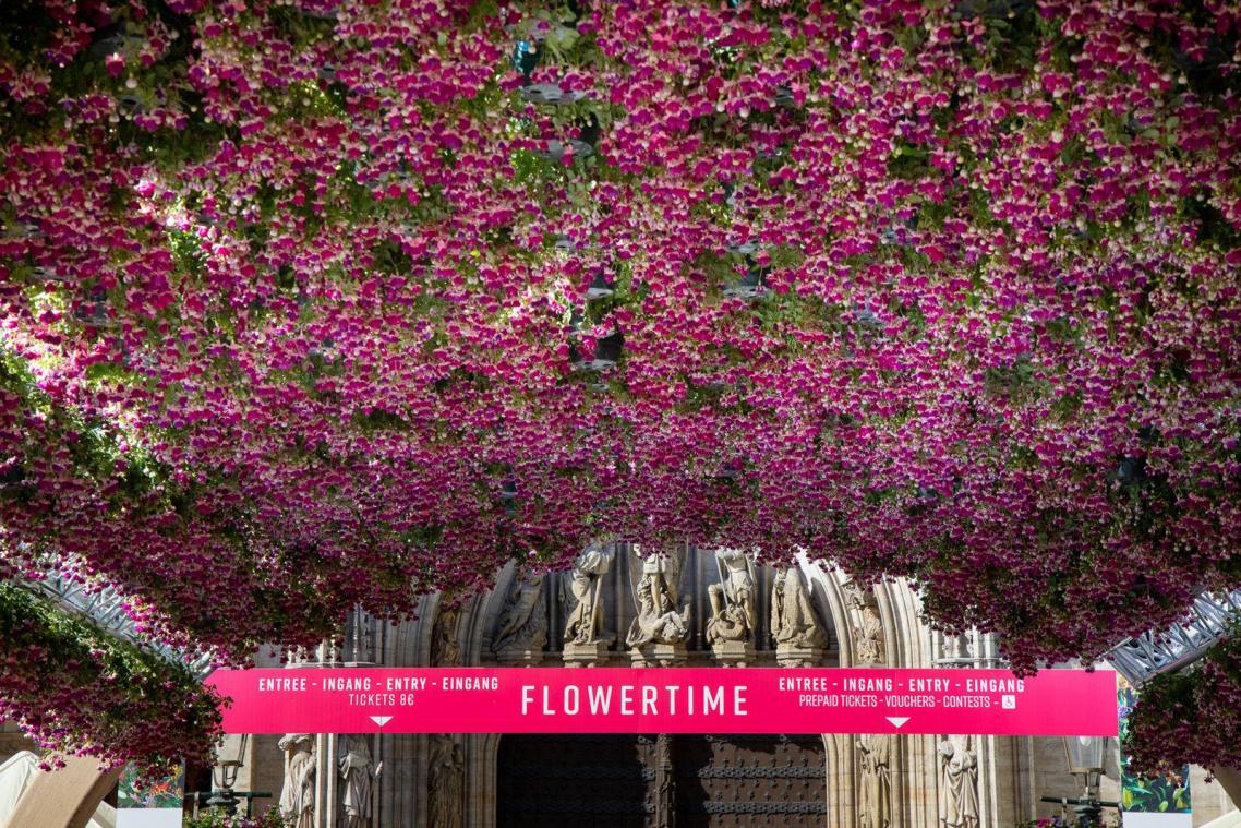 Bruxelles: Le festival Flowertime recouvre la capitale de milliers de ...