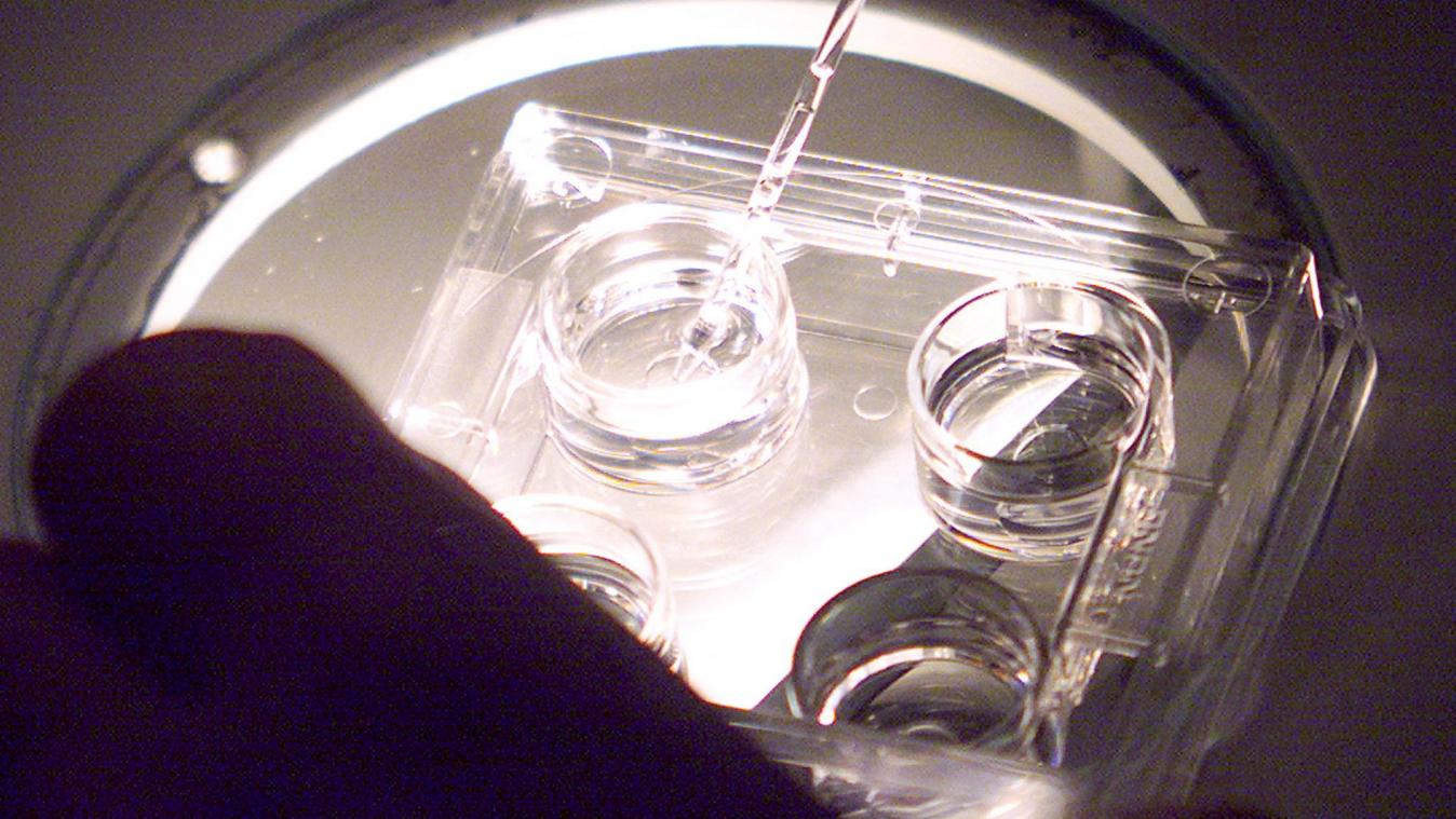 Comment des chercheurs ont-ils réussi à recréer un embryon humain (sans ...