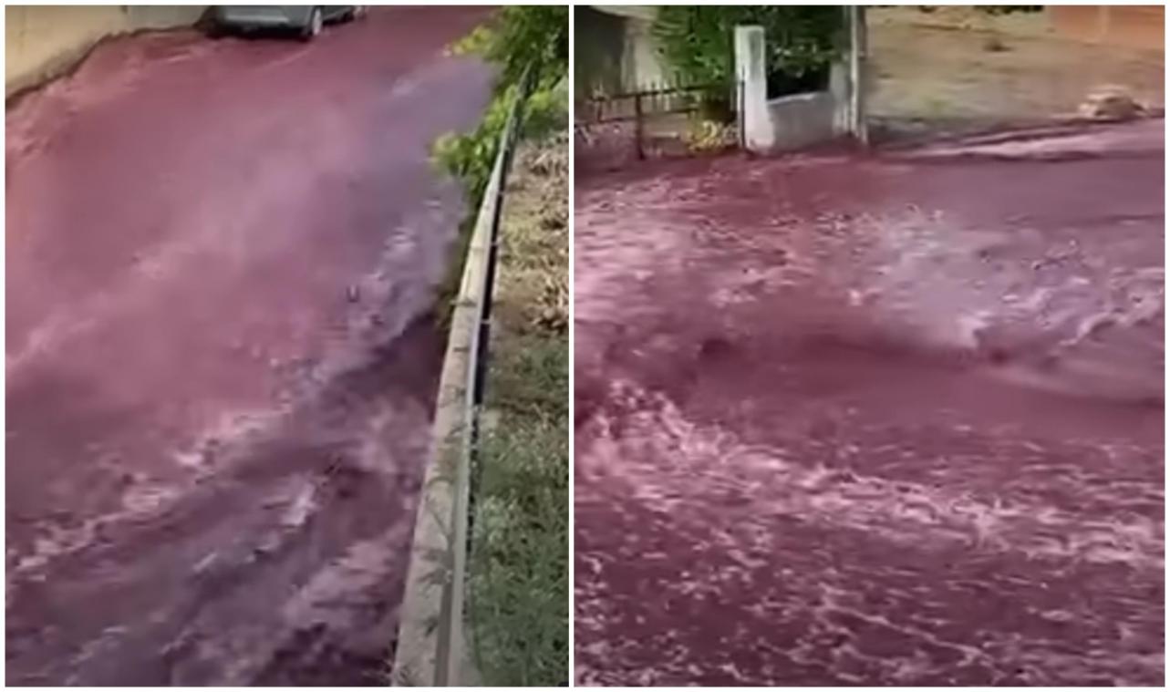 Un torrent de vin rouge inonde les rues d’un village portugais (vidéos ...