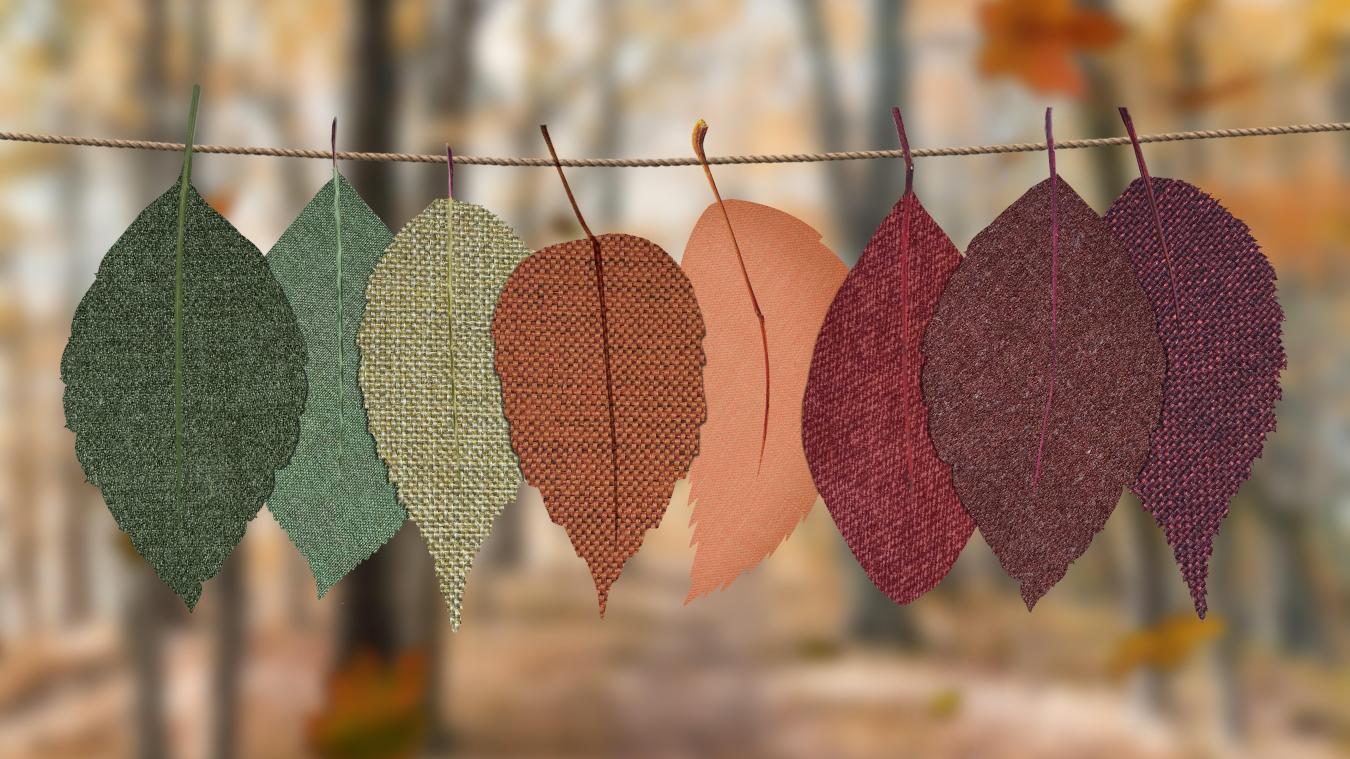 Voici cinq décorations DIY d’automne à réaliser avec un mini-budget ...