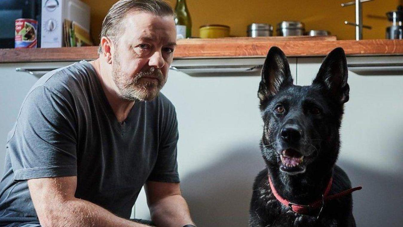 Le magnifique geste de Ricky Gervais pour la protection animale: «Ce ...