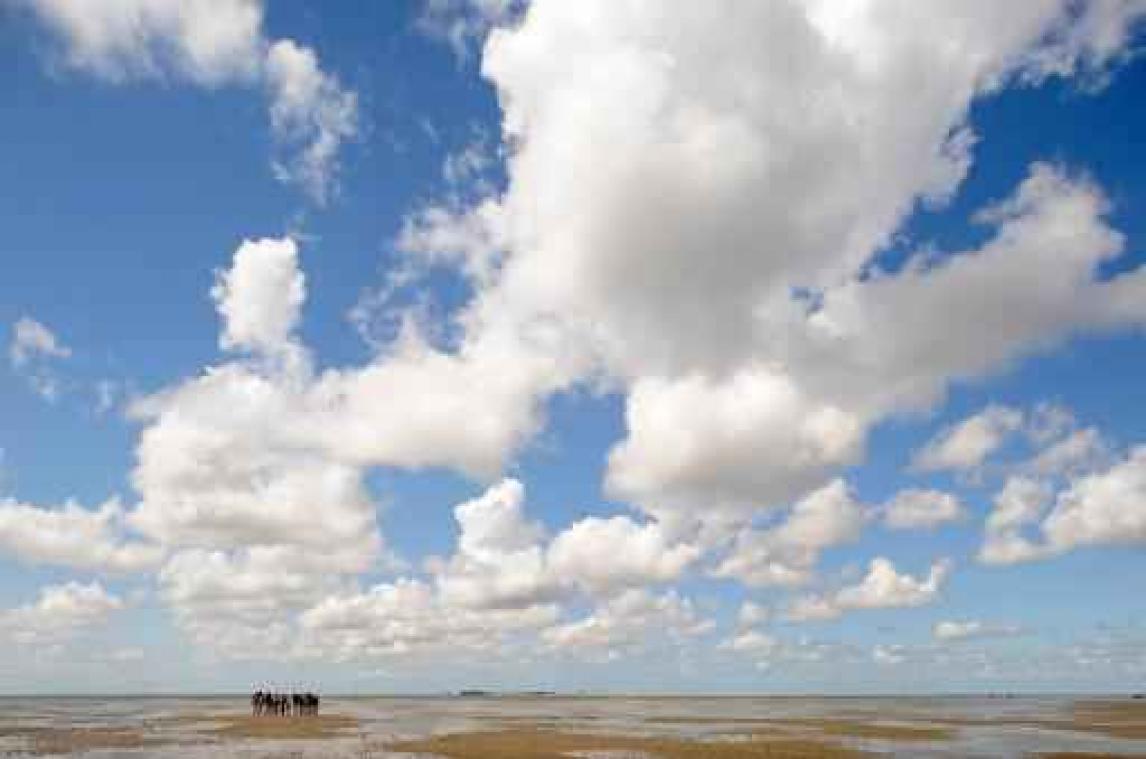 Waddenvereniging waarschuwt voor "verdrinking" Waddengebied - Metrotime