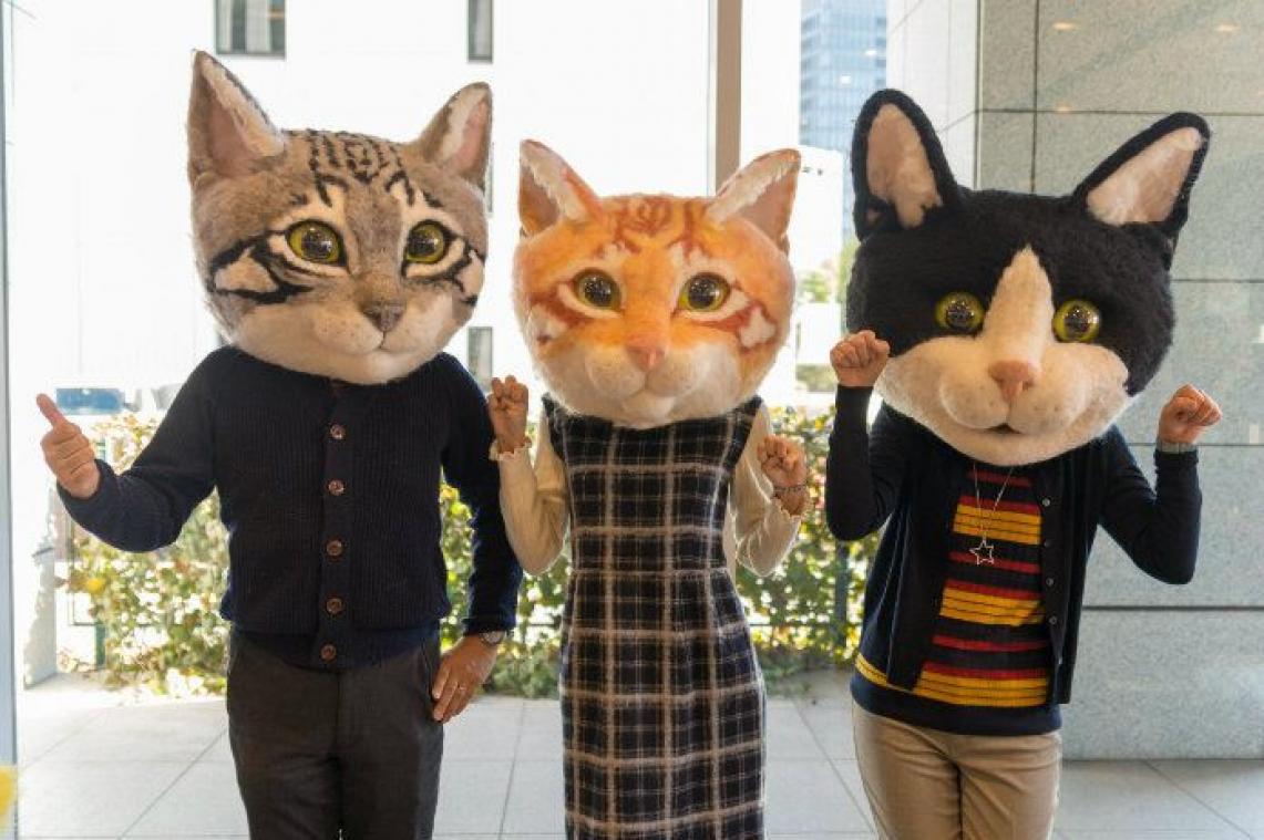 Deze kattenhoofden maken je een echte stoeipoes - Metrotime