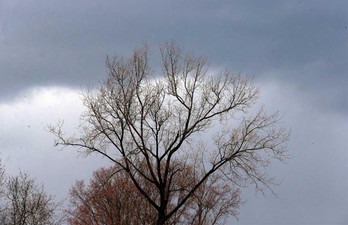 Weerman waarschuwt voor tornado’s in ons land: «Kleine kans, maar je ...