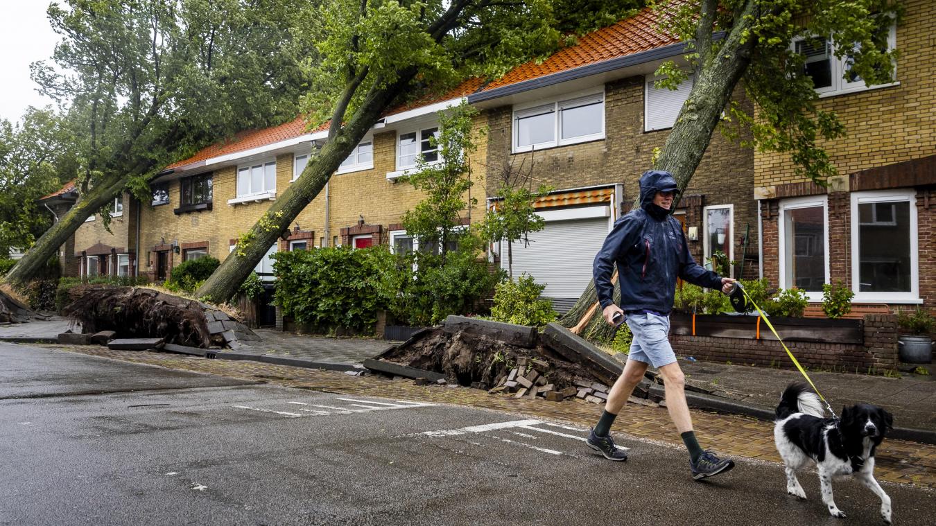 Storm Poly: vrouw overleden in Haarlem - Metrotime