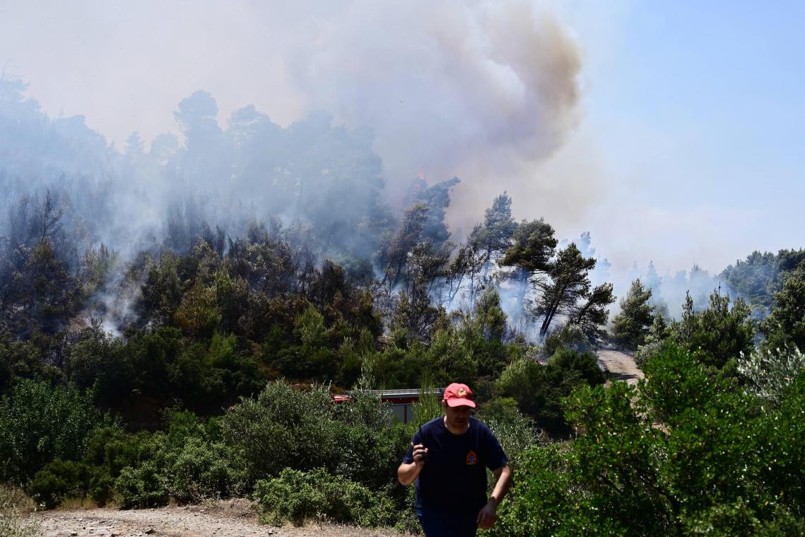 Na brand in Athene: bosbrand breekt uit op Rhodos - Metrotime