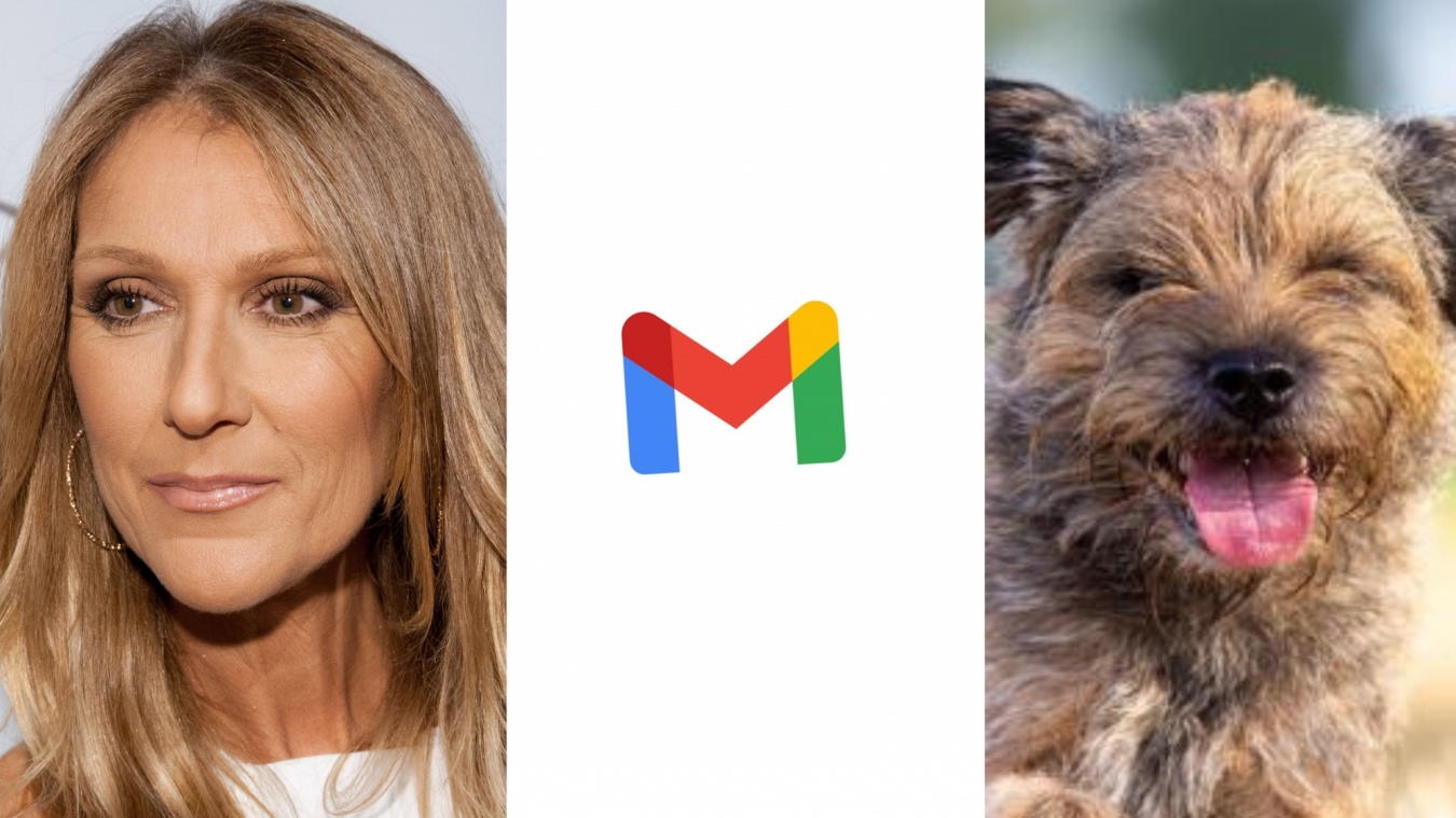 Het belangrijkste nieuws van 4 augustus: Grimmige update over Céline ...